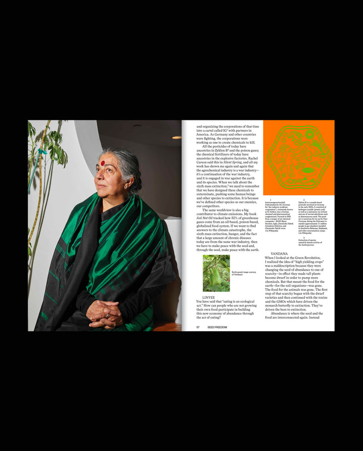 MOLD Magazine Store – thisismold